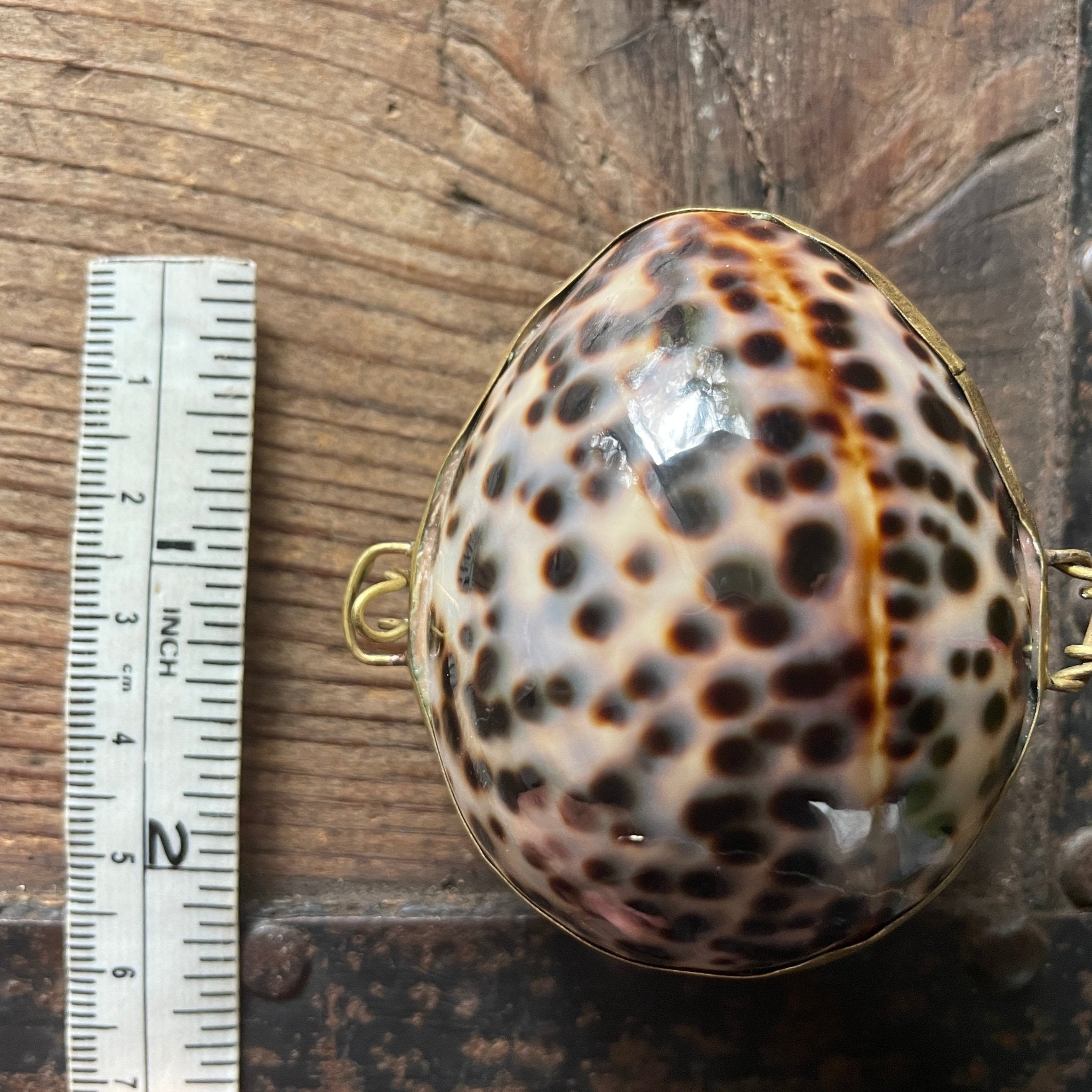 Vintage Shell Pill Box Engagement Ring Gift Box – Phoenix Menswear